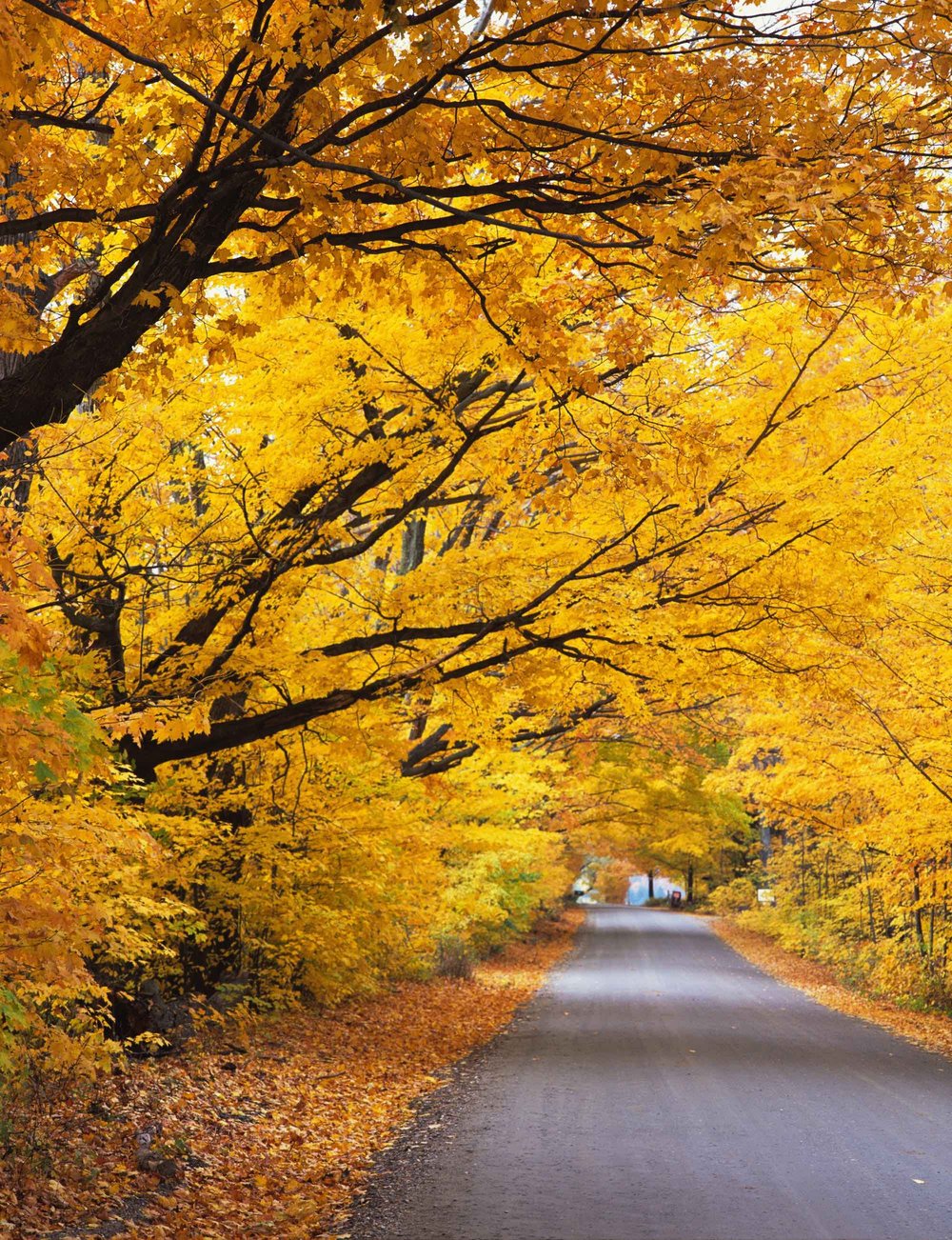 About Us | Image Relay